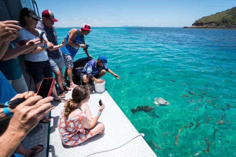 Rosslyn: Great Keppel Island Glass Bottom Boat Tour - What to Expect During the Tour