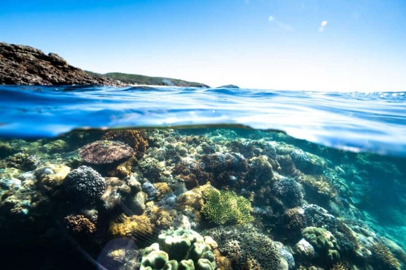 Rosslyn: Great Keppel Island Glass Bottom Boat Tour - Frequently Asked Questions