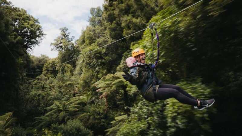 Rotorua: 6 Ziplines, Swing-Bridges & Wildlife Encounters - Rotorua: 6 Ziplines, Swing-Bridges & Wildlife Encounters — A Complete Review