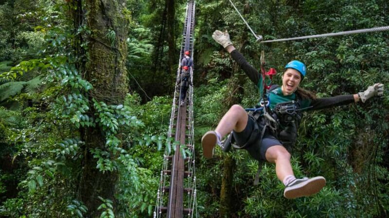 Rotorua: 6 Ziplines, Swing-Bridges & Wildlife Encounters - Key Points
