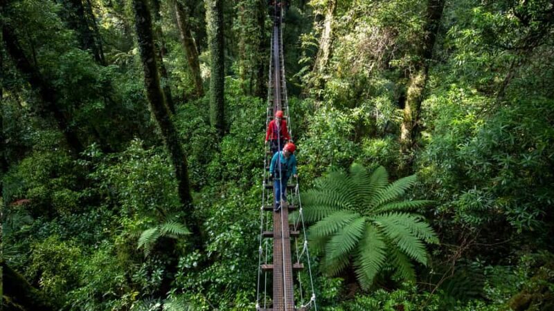 Rotorua: 6 Ziplines, Swing-Bridges & Wildlife Encounters - Authentic Experiences from Reviews