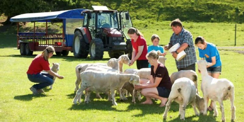 Rotorua Adventures Private Tour - A Step-by-Step Breakdown of the Tour