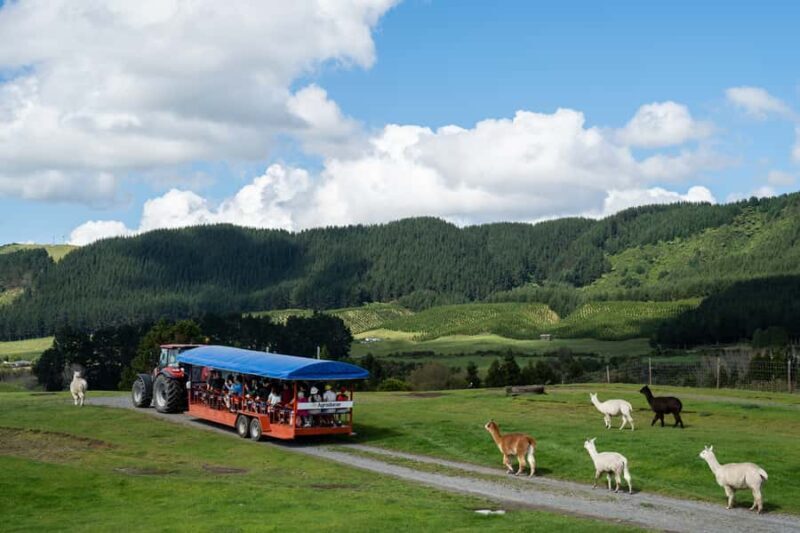 Rotorua: Authentic Kiwi Farm Experience at the Agrodome - Who Should Consider This Tour?