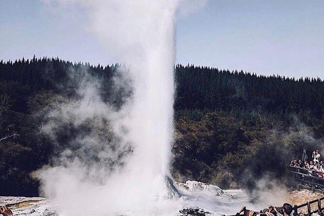 Rotorua based Small Group Morning Tour Waimangu and Wai O Tapu - The Sum Up