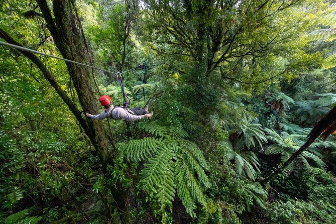 Rotorua Canopy Tours: 2.5Hour Native Forest Zipline Adventure - A Complete Breakdown of the Experience