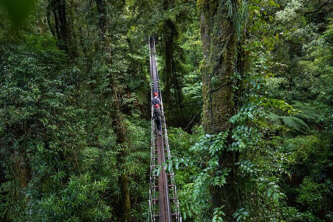 Rotorua Canopy Tours: 2.5Hour Native Forest Zipline Adventure - Final Thoughts