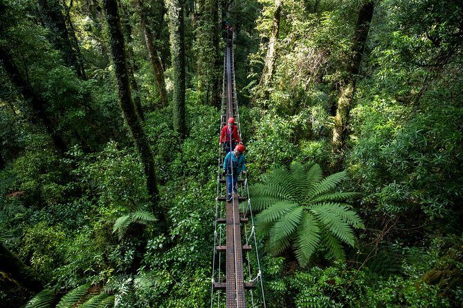 Rotorua Canopy Tours: 2.5Hour Native Forest Zipline Adventure - FAQ