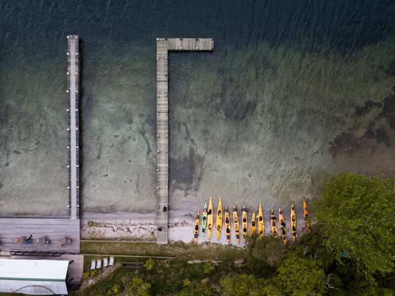 Rotorua: Daytime Scenic Lake Rotoiti Kayak Tour - Who Will Love This Tour?