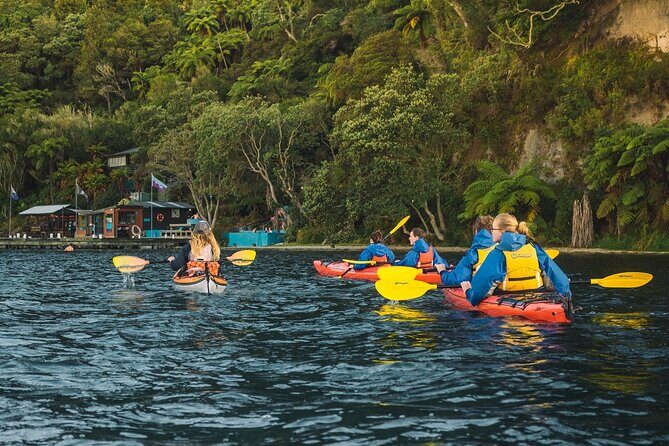 Rotorua: Daytime Scenic Lake Rotoiti Kayak Tour - Key Points