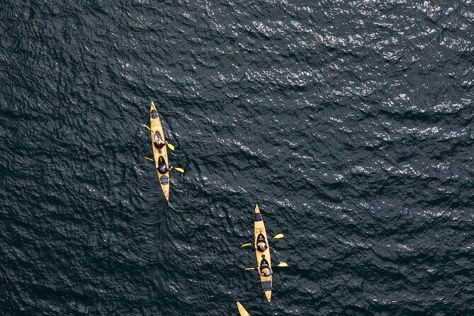 Rotorua: Daytime Scenic Lake Rotoiti Kayak Tour - What We Think: Who Will Love This Tour?