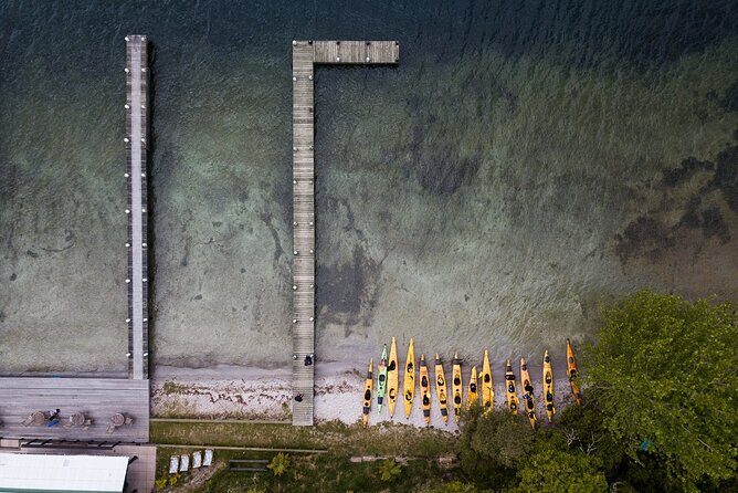 Rotorua: Daytime Scenic Lake Rotoiti Kayak Tour - Final Thoughts