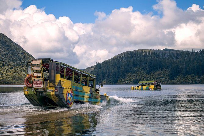 Rotorua Duck Boat Guided City and Lakes Tour - The Sum Up: Who Will Love This Tour?