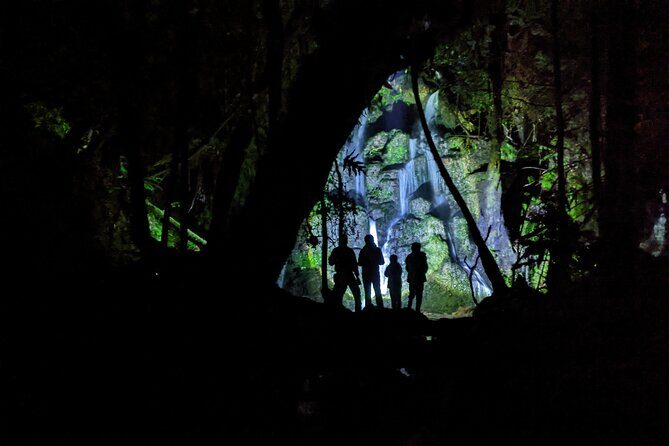 Rotorua: Evening Starlight Gourmet Kayak Tour Glowworms - FAQ