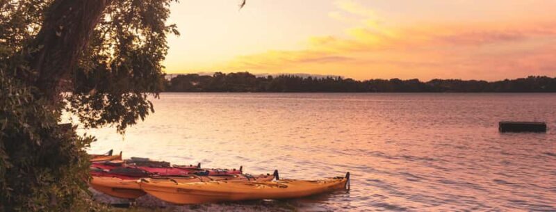 Rotorua: Evening Starlight Gourmet Kayak Tour with dinner - Key Points