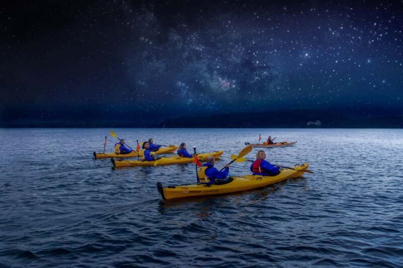 Rotorua: Evening Starlight Gourmet Kayak Tour with dinner - The Experience in Detail