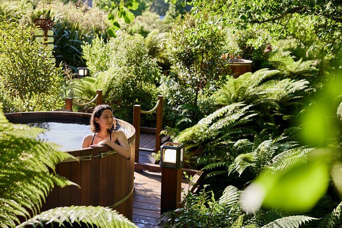 Rotorua Forest Hot Tub Soak at Secret Spot - Final thoughts