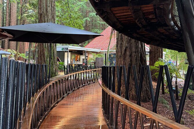 Rotorua Full Day Adventure in Glowworm Cave and Redwoods - Who Should Consider This Tour?
