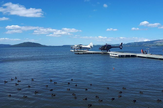 Rotorua Full Day Private Tour from Auckland - Pricing and Value: Is It Worth It?