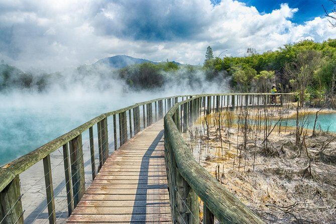 Rotorua Full Day Private Tour from Auckland - Who Should Consider This Tour?