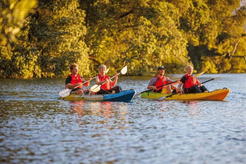Rotorua: Glow Worm Adventure Kayak - Discover the Magic of Rotoruas Glow Worm Adventure Kayak