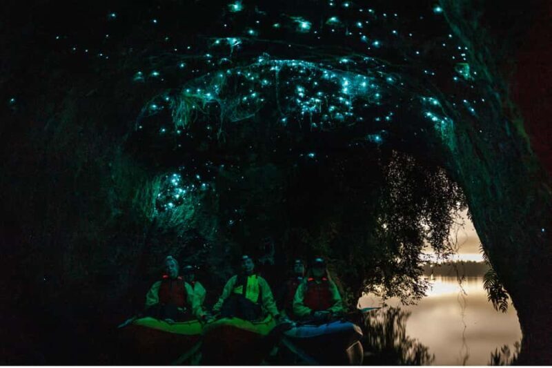 Rotorua: Glow Worm Adventure Kayak - Key Points