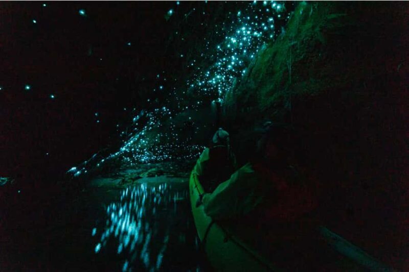 Rotorua: Glow Worm Adventure Kayak - Final Thoughts