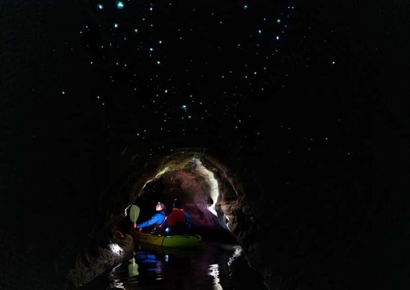 Rotorua: Glow Worm Kayak Tour - Why This Tour Offers Value