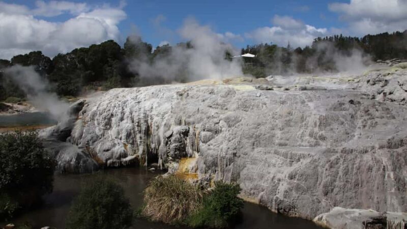 Rotorua: Glowworm Cave, Redwoods Forest & Te Puia Tour - Key Points