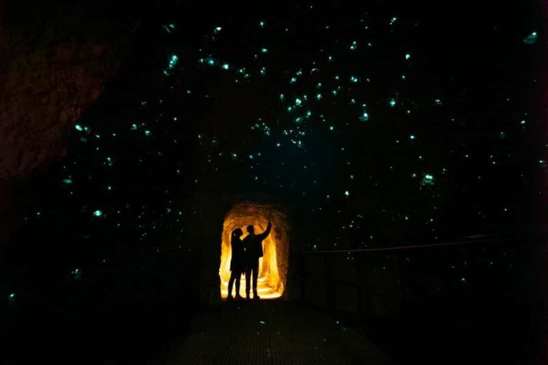 Rotorua: Glowworm Cave, Redwoods Forest & Te Puia Tour - Discovering Rotorua: What to Expect from the Tour
