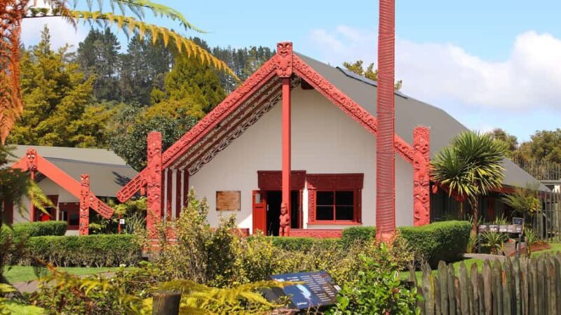 Rotorua: Glowworm Cave, Redwoods Forest & Te Puia Tour - Final Thoughts: Who Will Love This Tour?