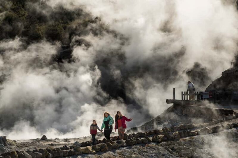 Rotorua: Hell's Gate Geothermal Walk - Introduction