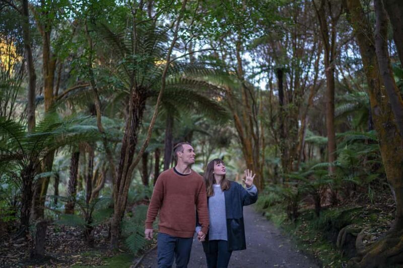 Rotorua: Hell's Gate Geothermal Walk - The Experience: A Step-by-Step Breakdown