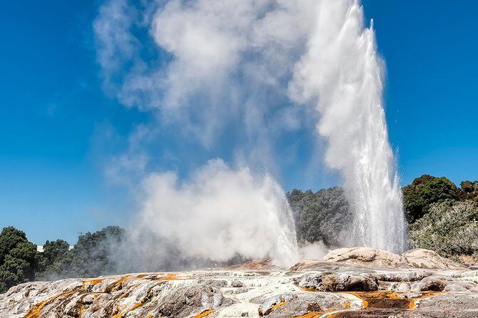 Rotorua Highlights Tour from Auckland with Optional Extras - Key Points