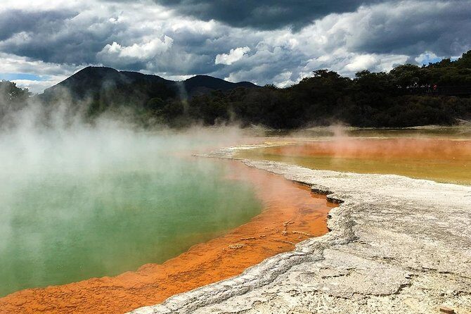 Rotorua Highlights Tour from Auckland with Optional Extras - The Sum Up