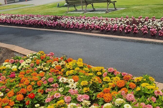 ROTORUA Highlights Tour In A Small Group - The Journey Through Rotorua: What to Expect