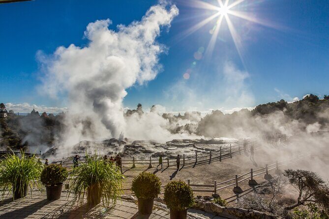 Rotorua Highlights Tour inc. Te Puia Tour, Lunch & Cultural Show - Discovering the Itinerary in Detail