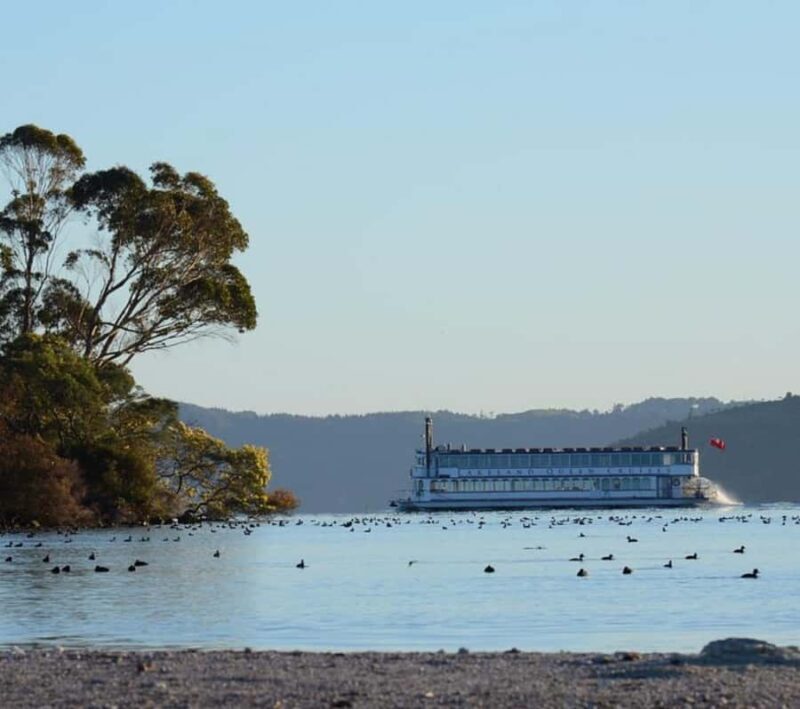 Rotorua: Lake Rotorua Cruise with Buffet Dining Option - Key Points