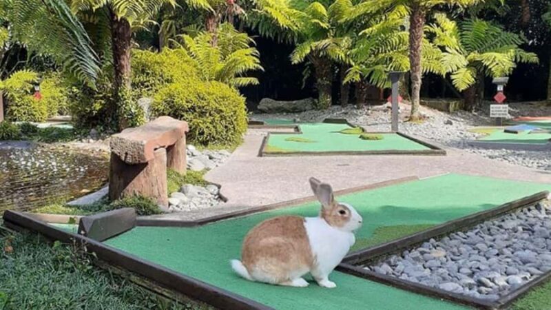 Rotorua: Mini Golf Experience - Frequently Asked Questions