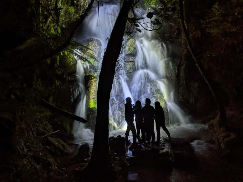 Rotorua: Nocturnal Glow-Worm Adventure Tour with a Guide - Introduction