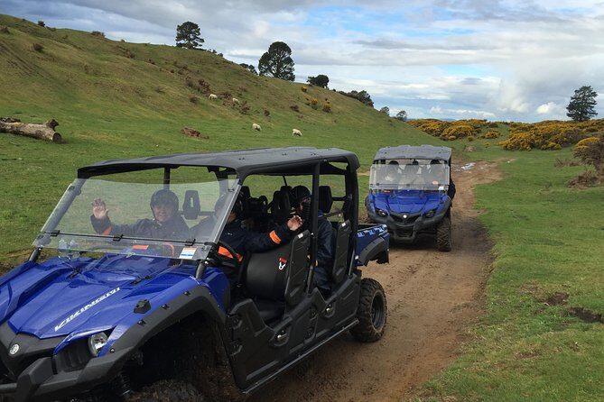 Rotorua Off-Road 4WD Buggy Adventure - Who Should Consider This Tour?