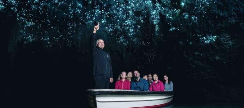 Rotorua: One-Way Trip to Auckland via Hobbiton & Waitomo - Exploring the Rotorua to Auckland Journey: Hobbiton & Waitomo in One Day