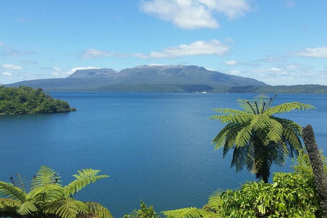 Rotorua Private Tour from Tauranga (up to 11 people) - The Sum Up: Who Is This Tour Best For?