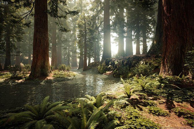 Rotorua Private tour with Hotspring - Final Thoughts