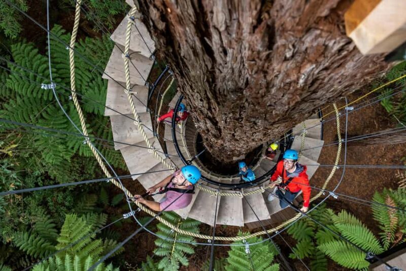 Rotorua: Redwoods Altitude High Ropes Adventure - Key Points