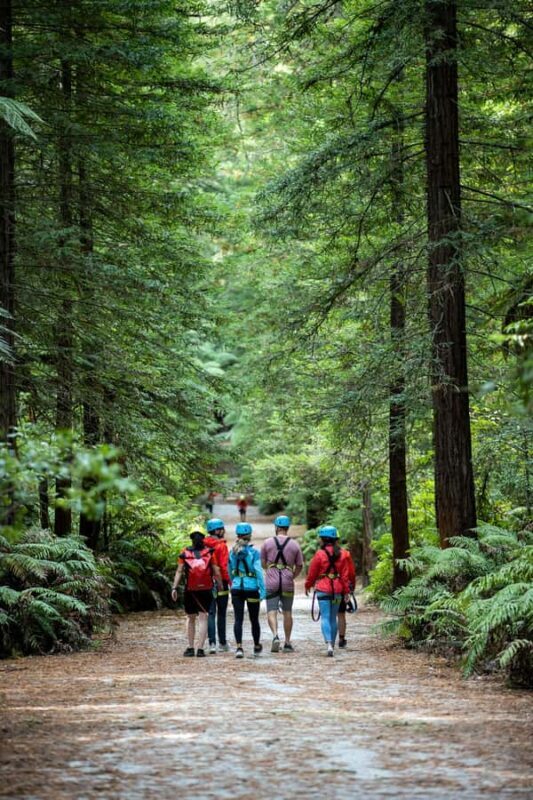 Rotorua: Redwoods Altitude High Ropes Adventure - Who Will Love This Tour?