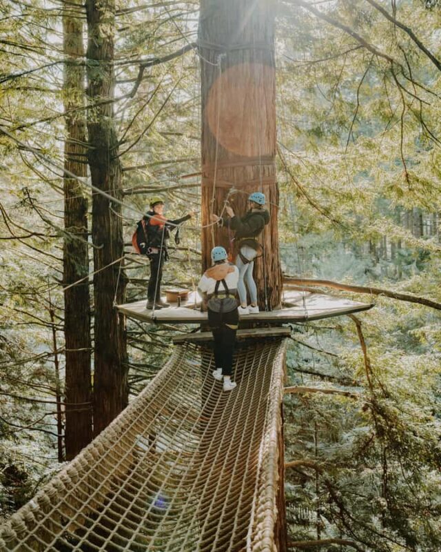 Rotorua: Redwoods Altitude High Ropes Adventure - Final Thoughts