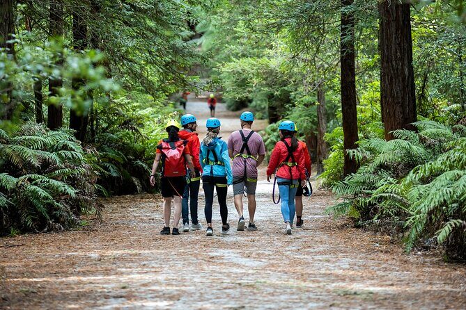 Rotorua: Redwoods Altitude High Ropes Adventure - Key Points