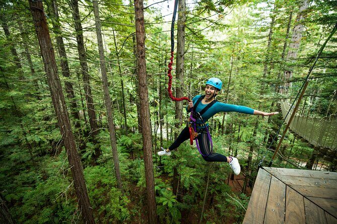 Rotorua: Redwoods Altitude High Ropes Adventure - Who Should Consider This Tour?