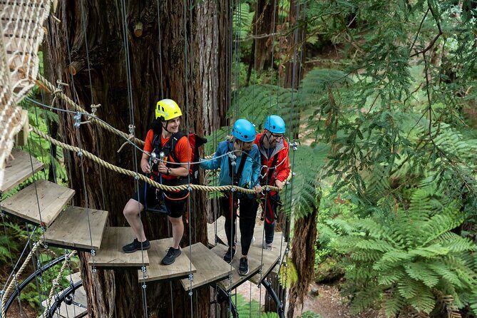 Rotorua: Redwoods Altitude High Ropes Adventure - FAQ