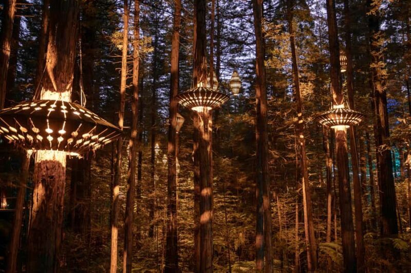 Rotorua: Redwoods Altitude, Nighttime Fast Pass, & Treewalk - Rotorua: Redwoods Altitude, Nighttime Fast Pass, & Treewalk
